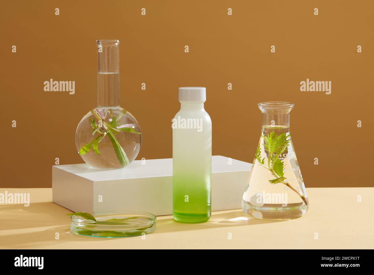 Unbranded bottle in gradient green color displayed several glassware ...