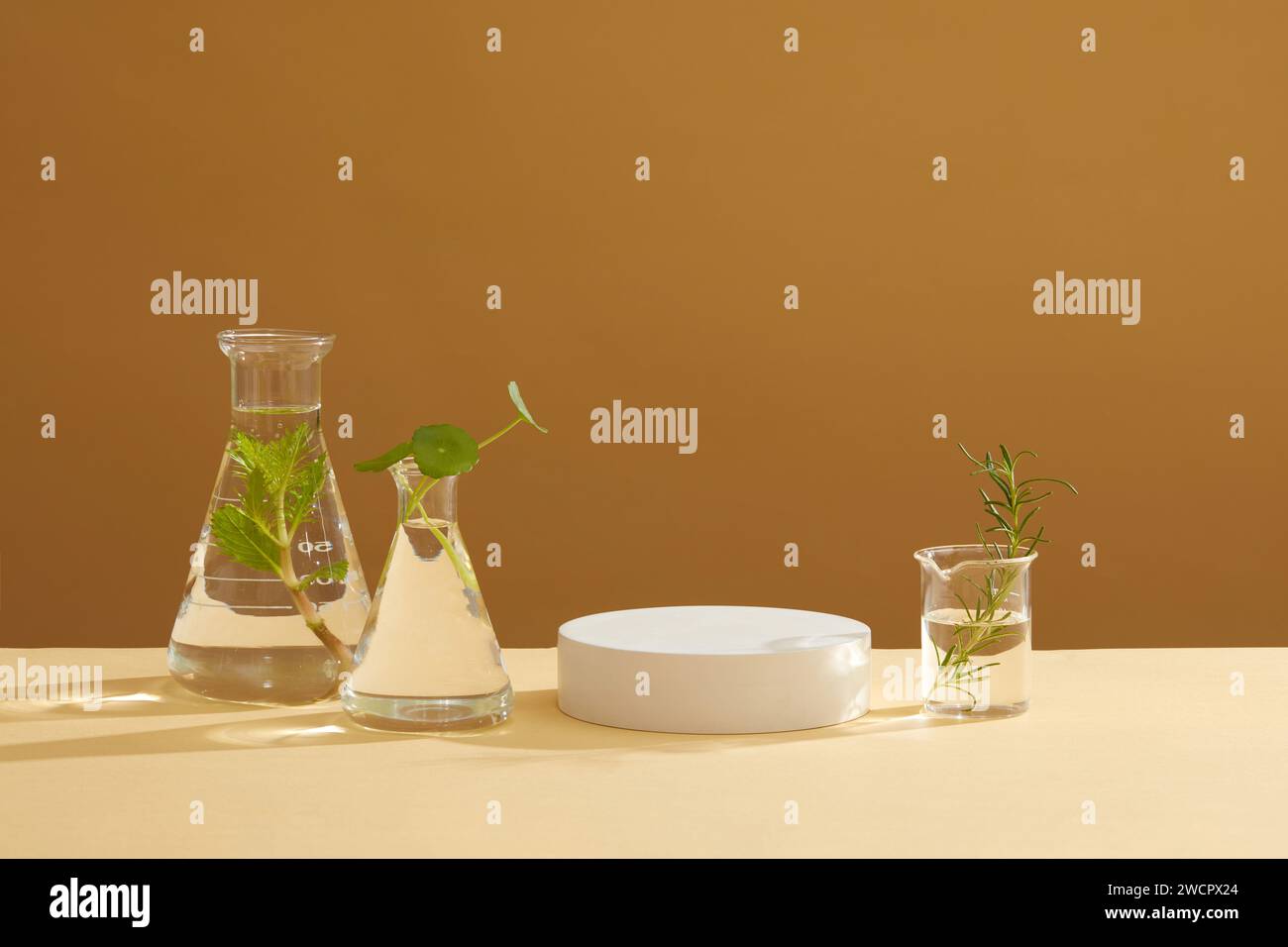 Over the light brown background, a podium with a beaker and two flasks ...