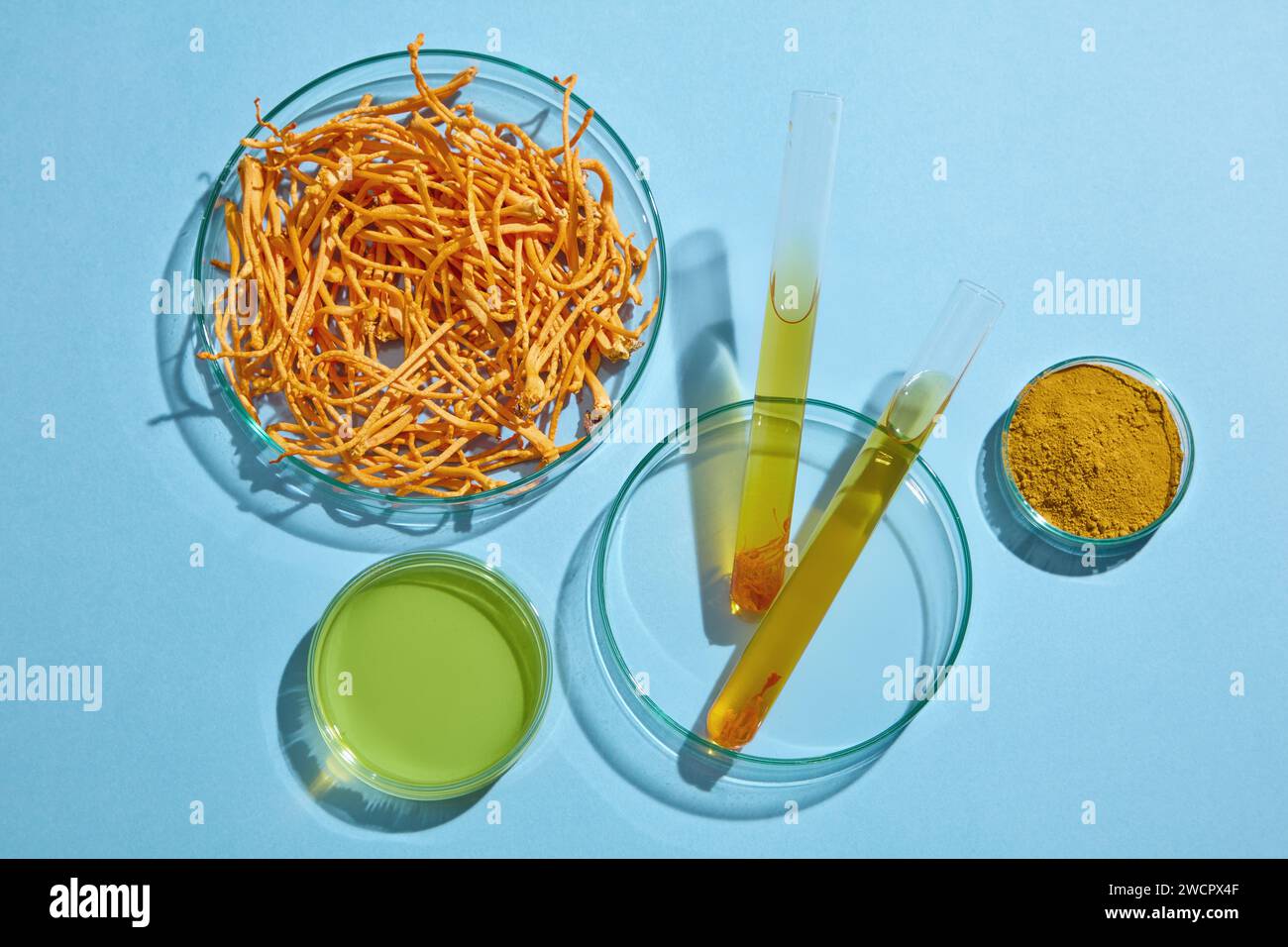 Liquid in yellow color filled inside test tubes and a petri dish ...