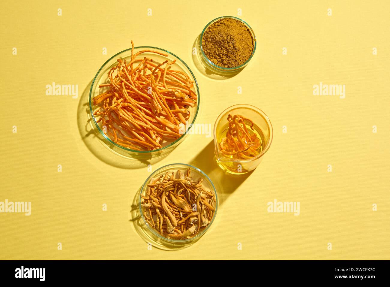 Over light background, several round petri dishes and a beaker ...