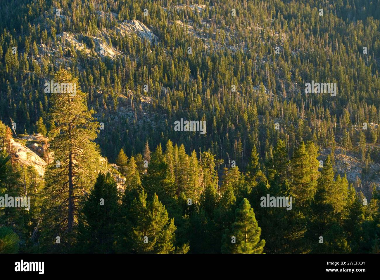 The mokelumne river hi-res stock photography and images - Alamy