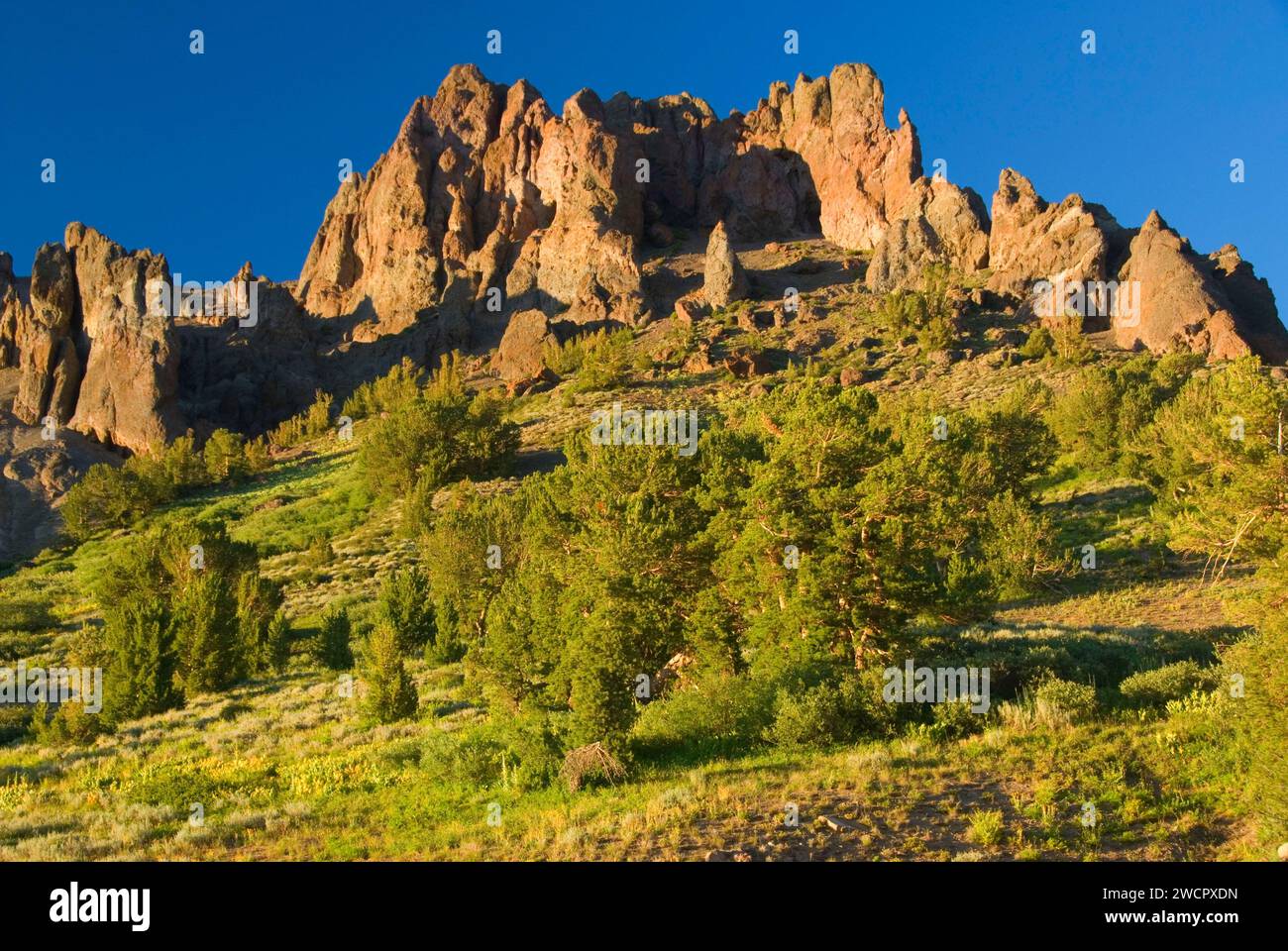 Sonora Peak outcrop from Pacific Crest Trail, Stanislaus National ...
