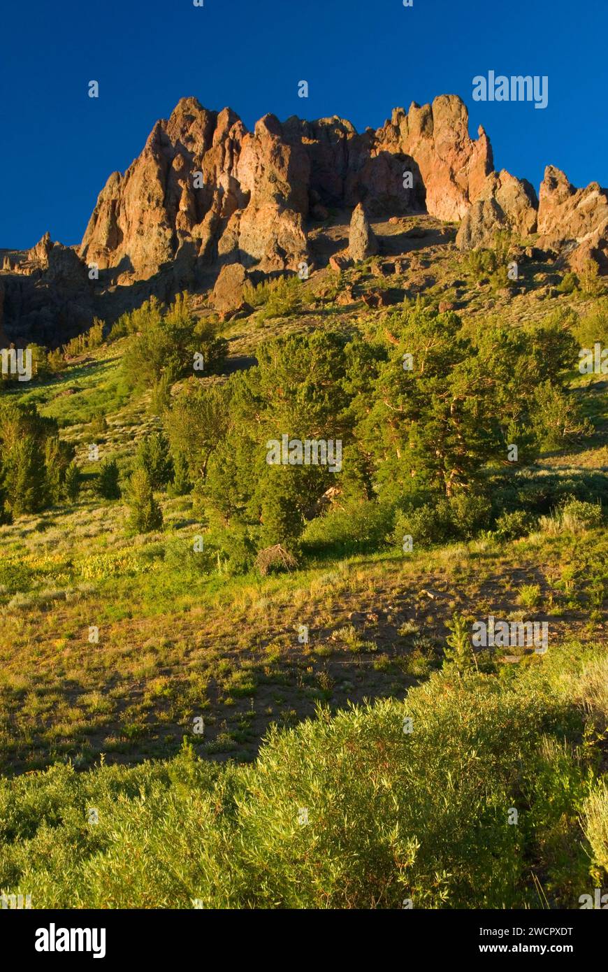 Sonora Peak outcrop from Pacific Crest Trail, Stanislaus National ...