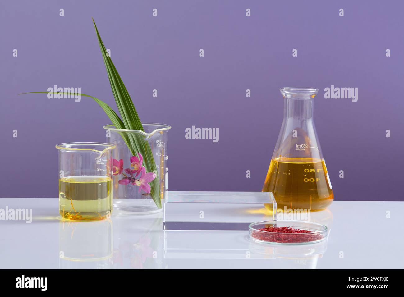 Square-shaped podium with beakers and flask of fluid, petri dish of ...