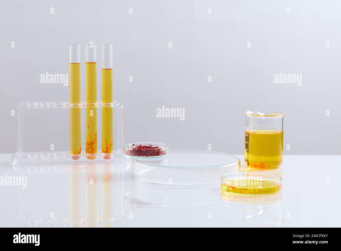 Test tube of yellow fluid arranged on a rack. A beaker and petri dishes ...