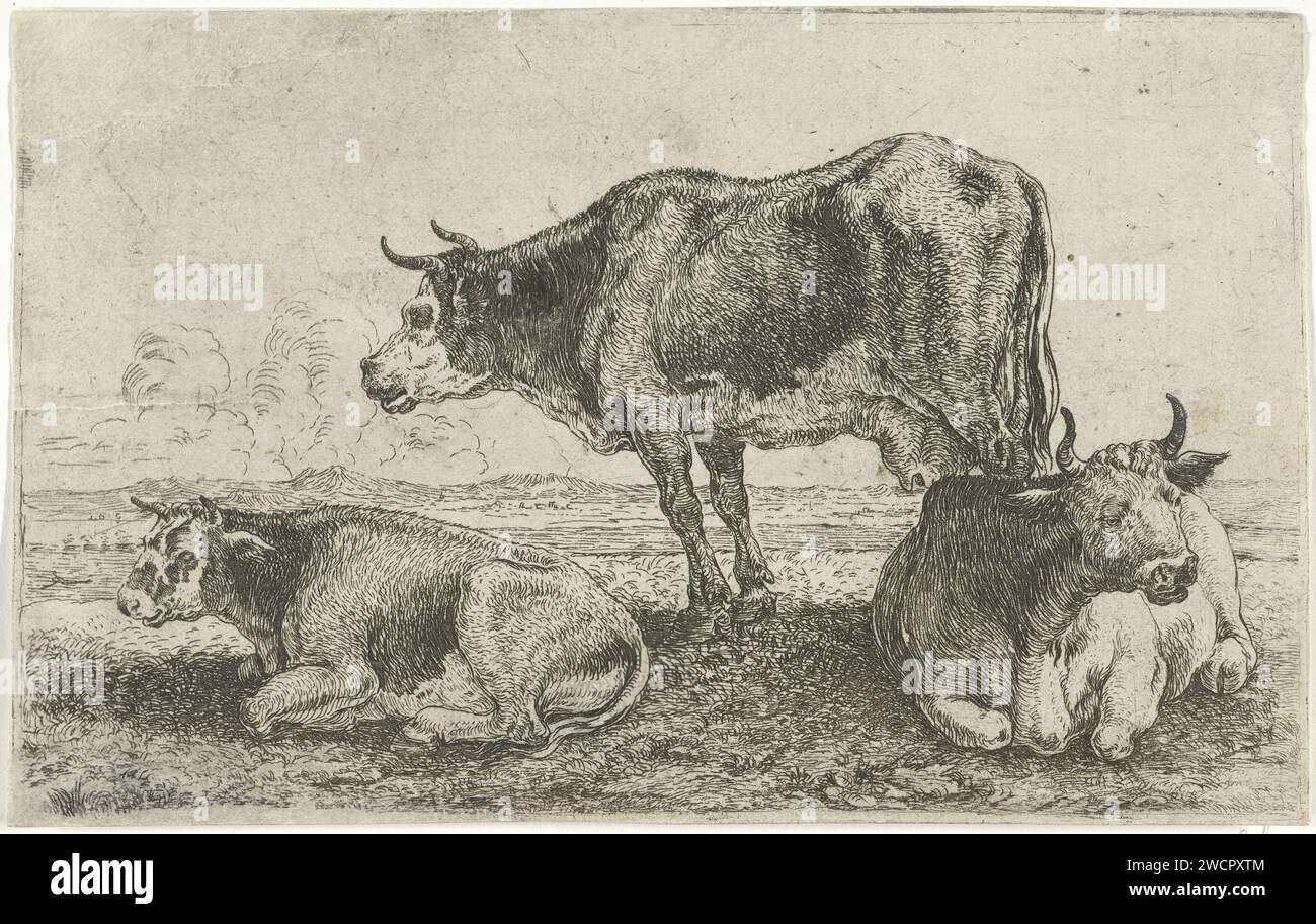 Three cows, Jan van den Hecke (I), 1656 print Brussels (possibly) paper ...