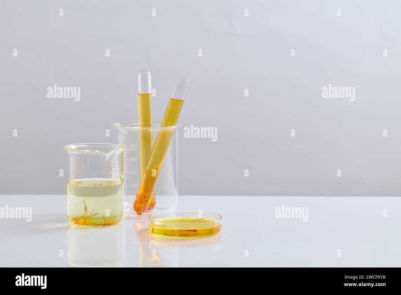 Yellow liquid with saffron contained inside test tubes, petri dishes ...