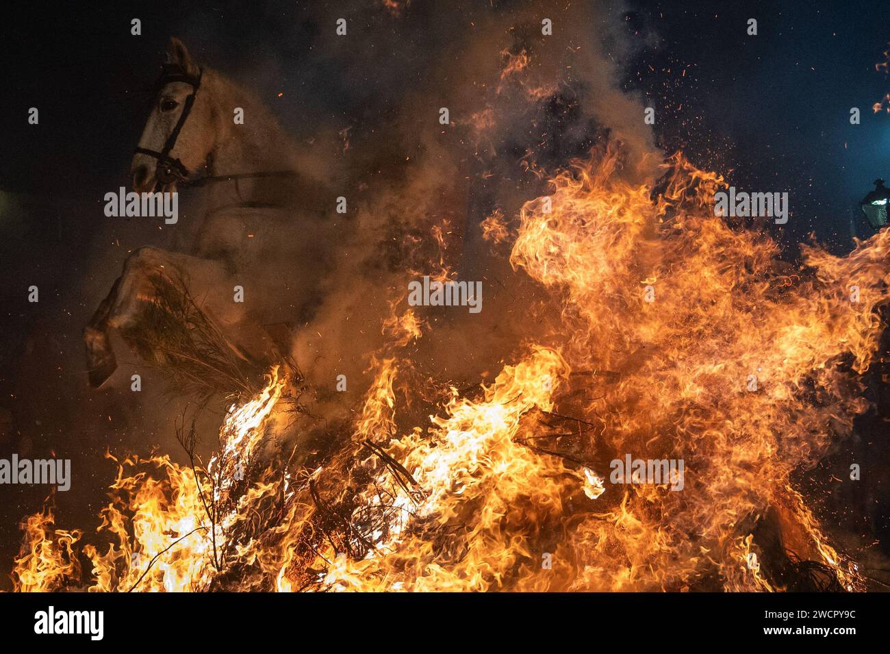 San Bartolome De Pinares, Spain. 16th Jan, 2024. A horse rider jumps ...
