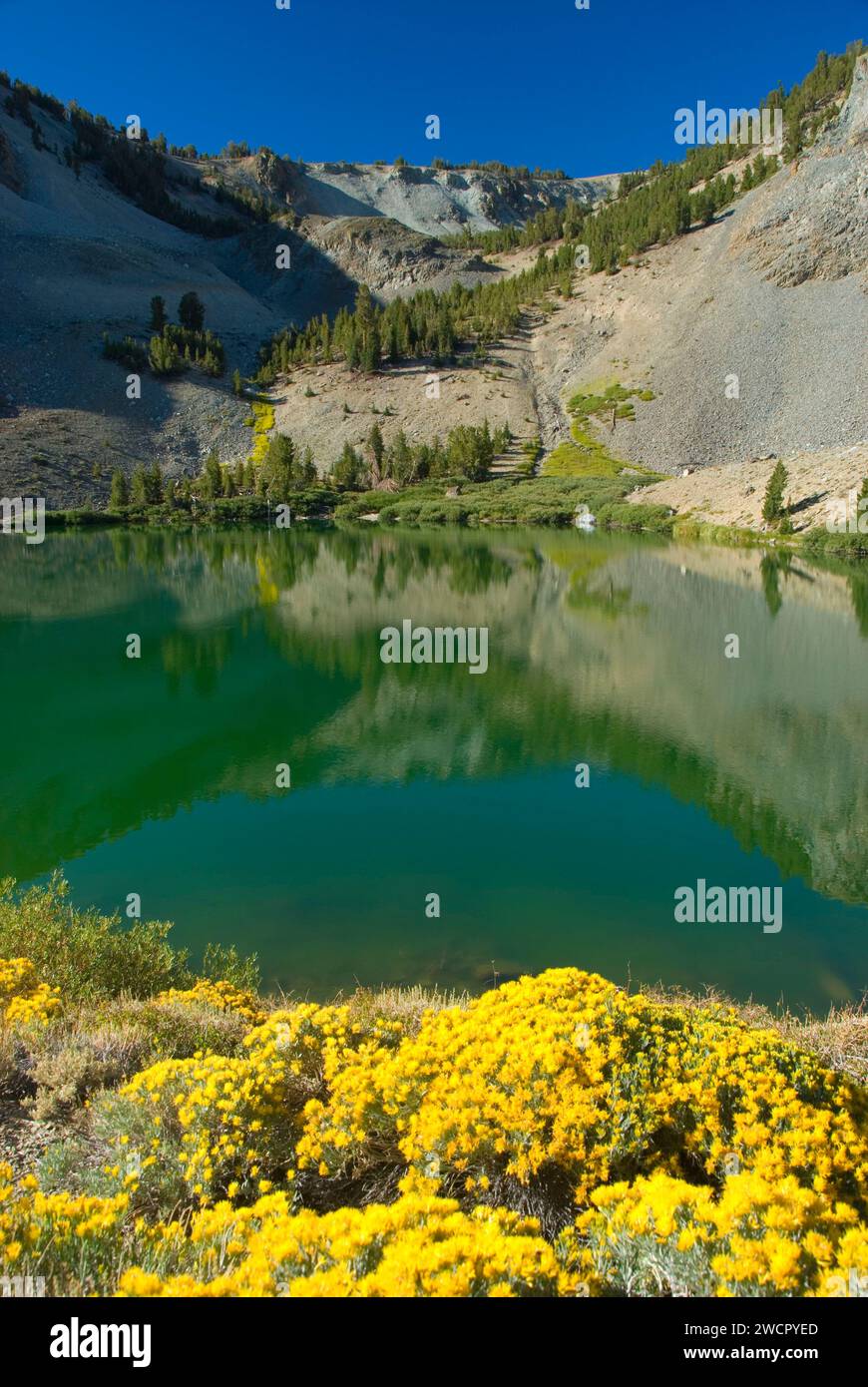 Emma lake hi-res stock photography and images - Alamy