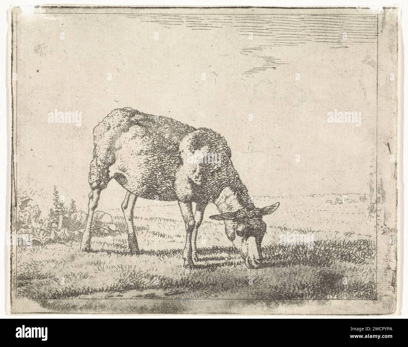 Grass Schaap to the right, Wouter Johannes van Troostwijk, 1792 - 1810 ...