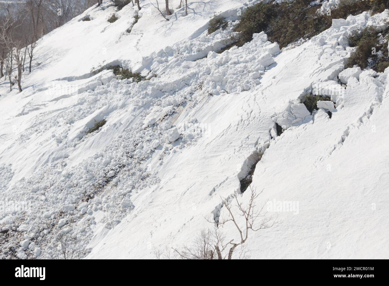 Avalanche snow japan hi-res stock photography and images - Alamy