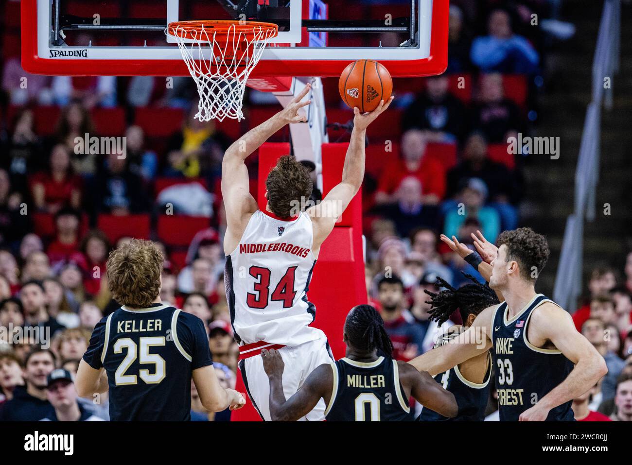 2024 0216 jpg hi-res stock photography and images - Alamy