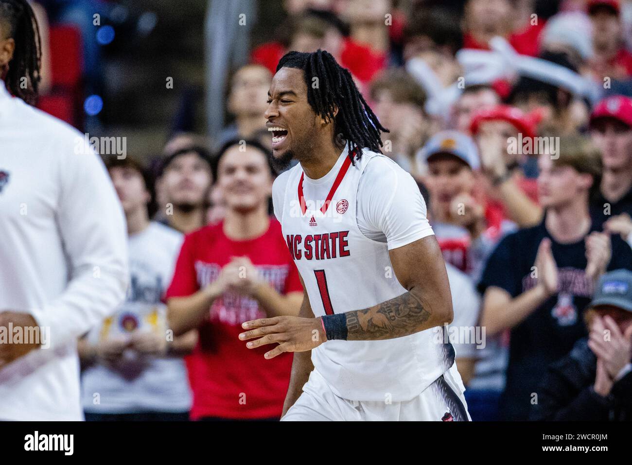 2024 0221 jpg hi-res stock photography and images - Alamy