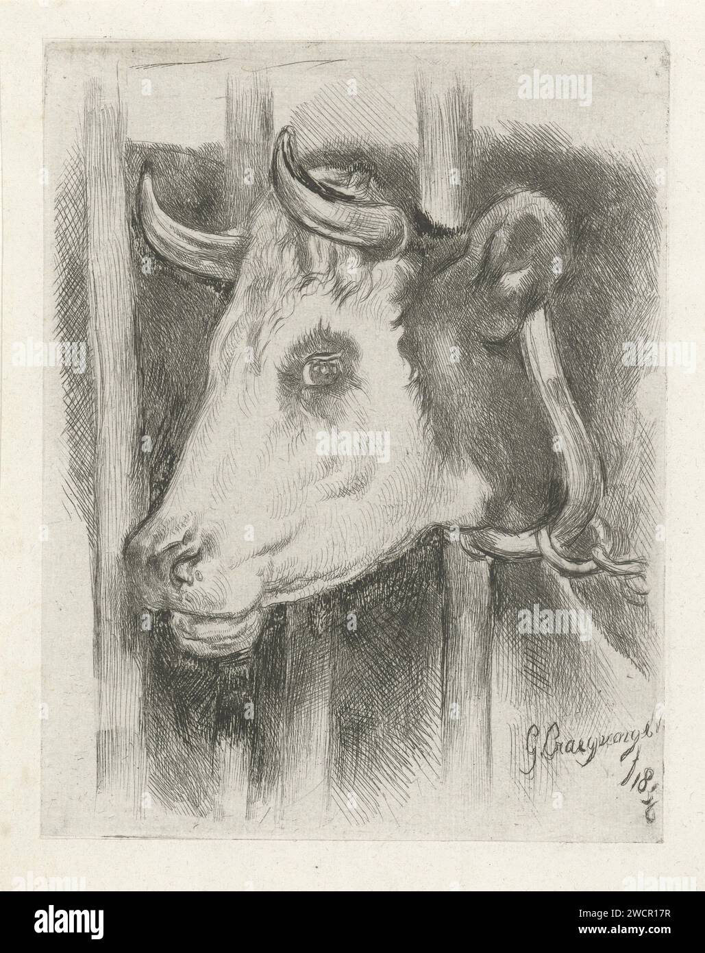 Kop van A cow, Gijsbertus Craeyvanger, 1836 print Head of a cow. To the ...