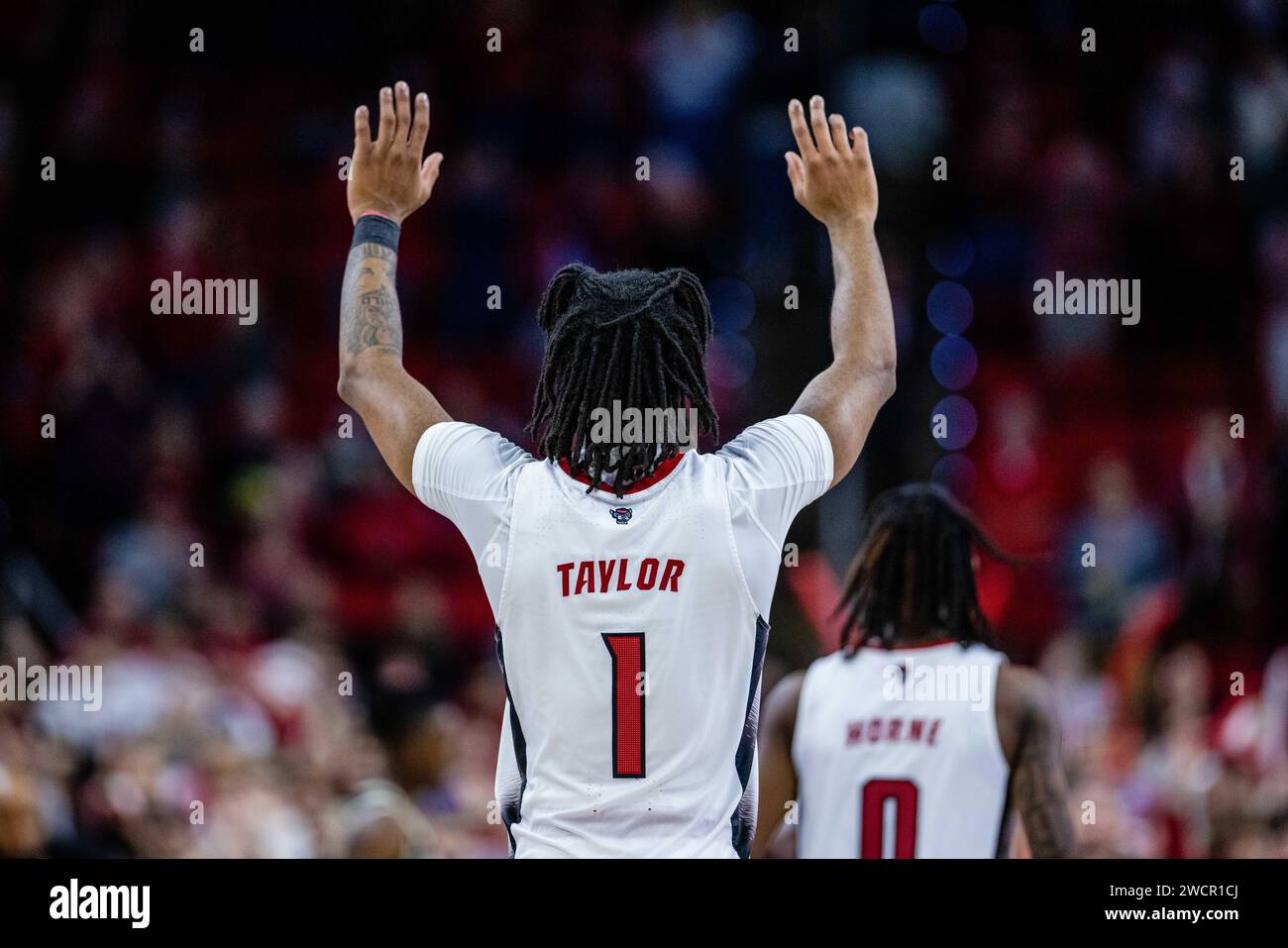 2024 0268 jpg hi-res stock photography and images - Alamy