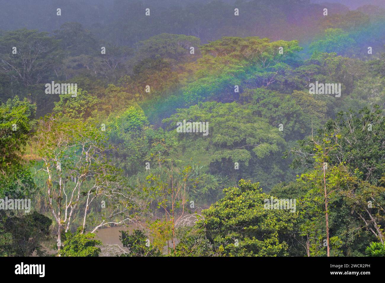 Rain and rainbow over San Carlo river, Alajuela, Costa Rica Stock Photo ...