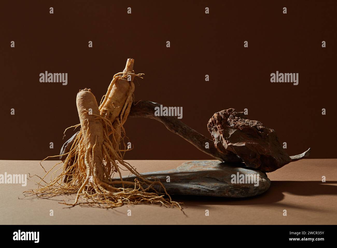 Ginseng roots displayed with some stones on dark background. Ginseng ...