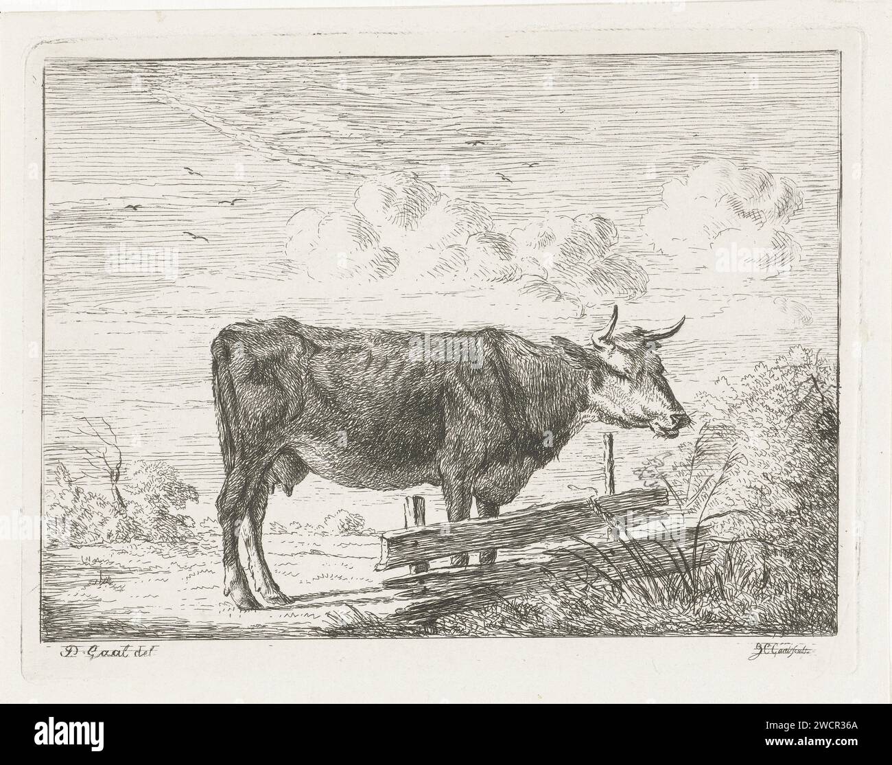 Cow, standing by a fence, Jacobus Cornelis Gaal, after Pieter Gaal ...