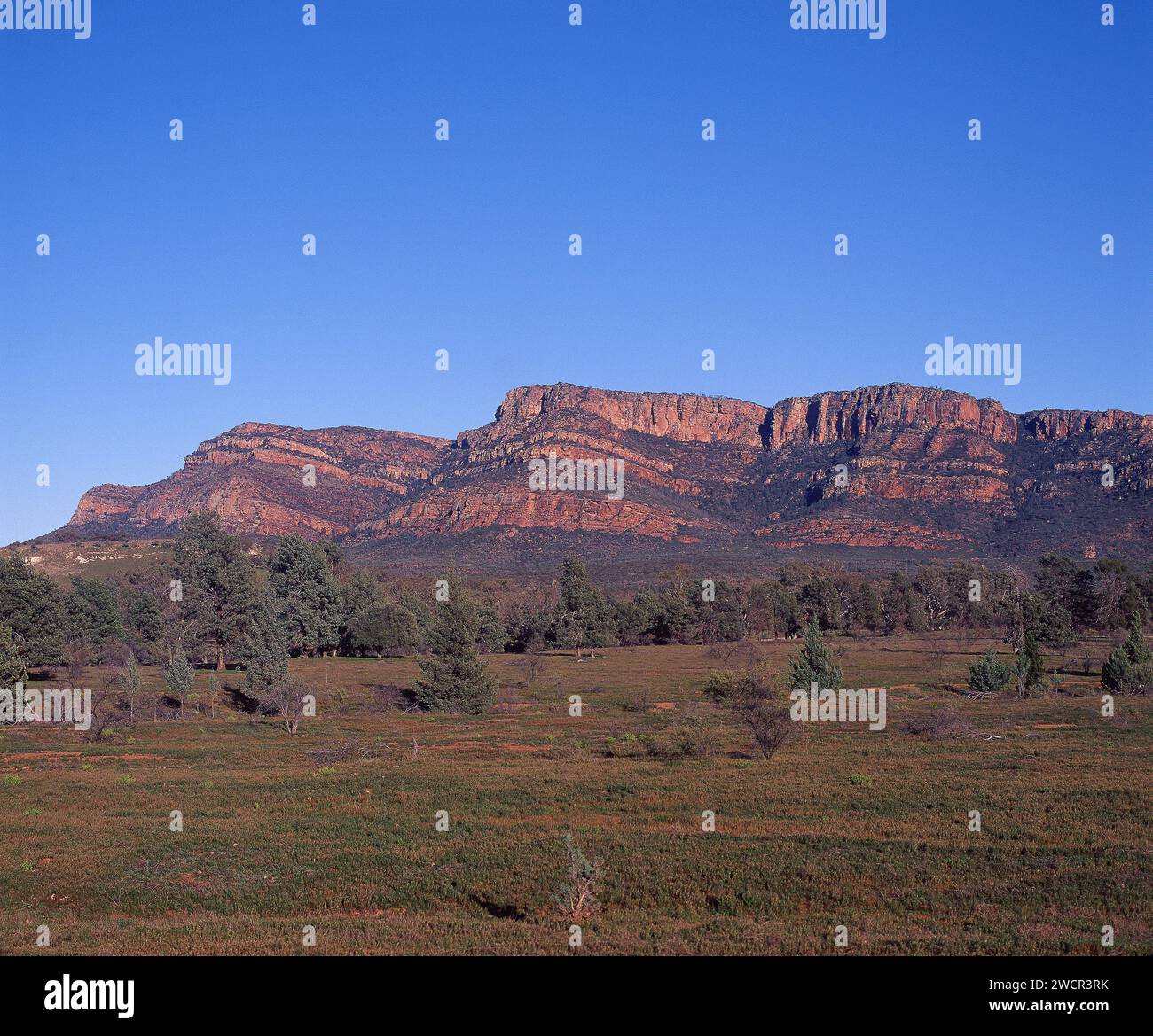 Arkaroo Rock is a 3.1 km circuit walk in the Flinders Ranges National ...