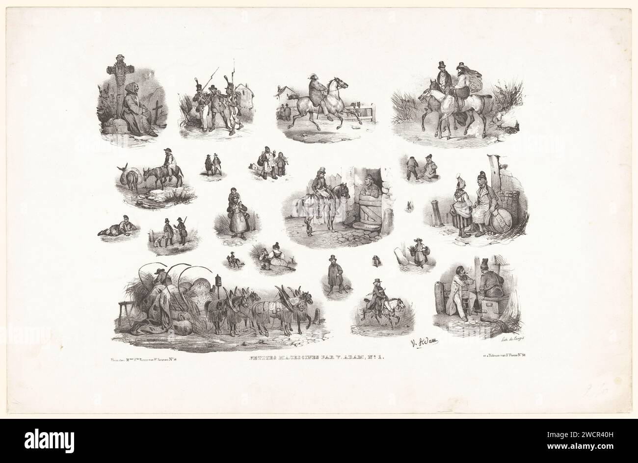 Mule types hi-res stock photography and images - Alamy