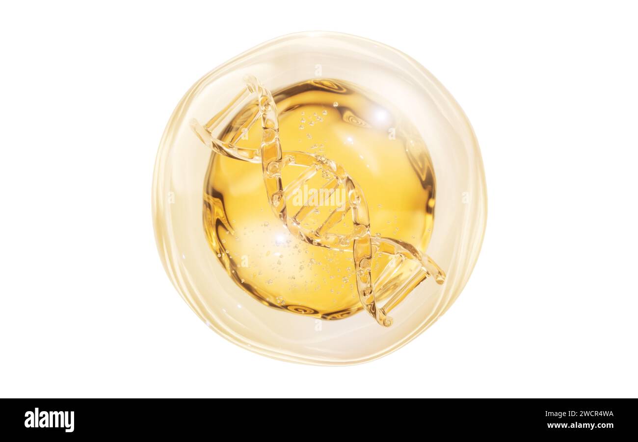 DNA and golden liquid bubble, 3d rendering. 3D illustration Stock Photo ...
