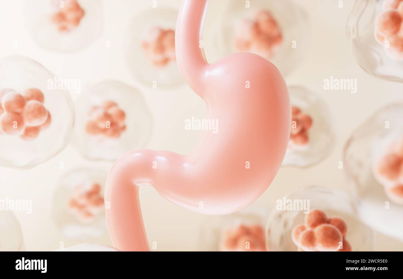 Human stomach and cell background, 3d rendering. 3D illustration Stock ...