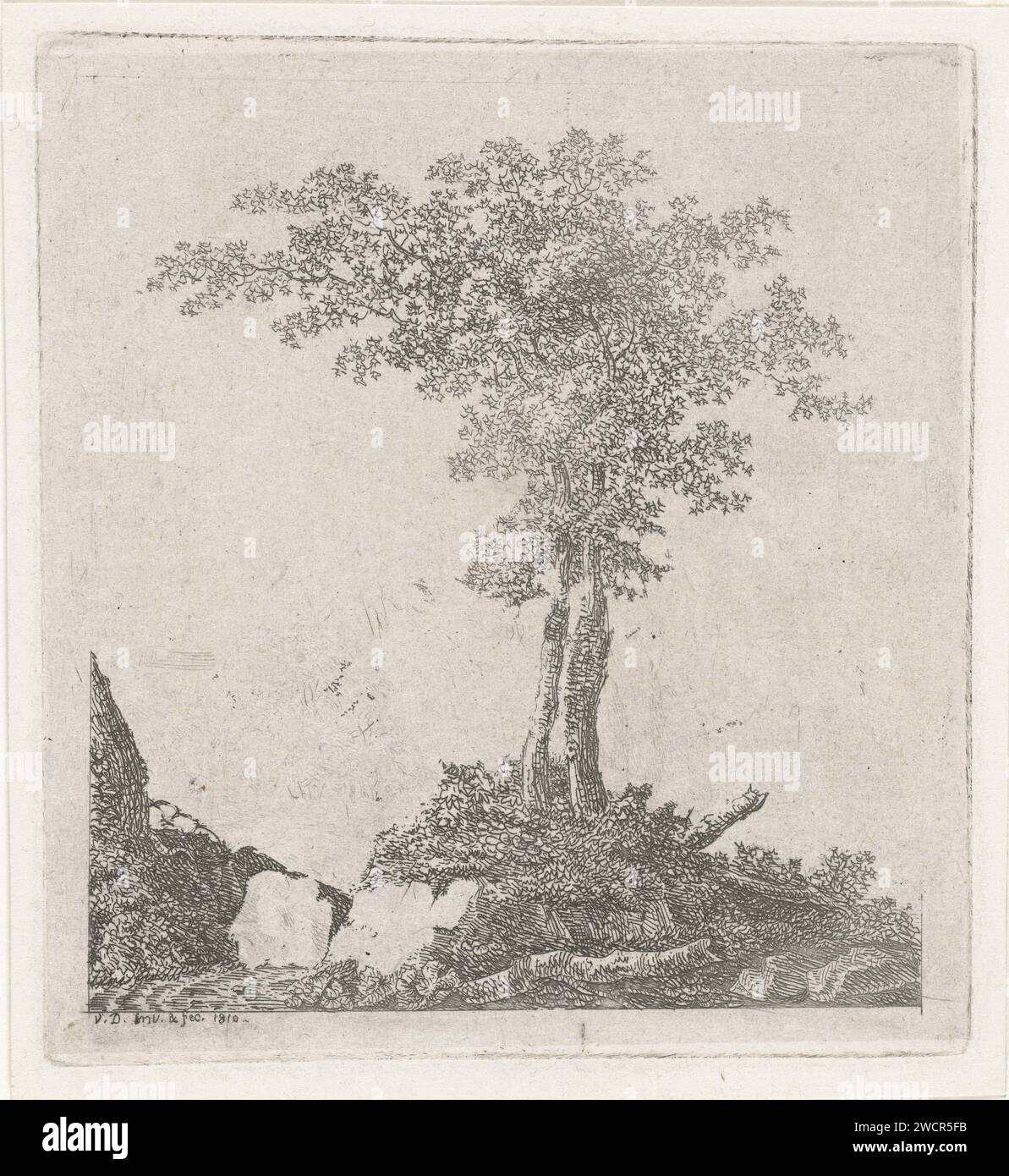 Two trees, Adriaan Jacob Willem van Dielen, 1810 print Netherlands ...