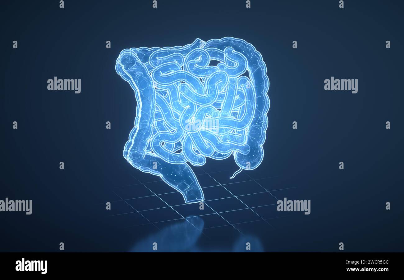 Intestinal tract with digital structure, 3d rendering. 3D illustration ... Intestinal tract with digital structure, 3d rendering. 3D illustration ...
