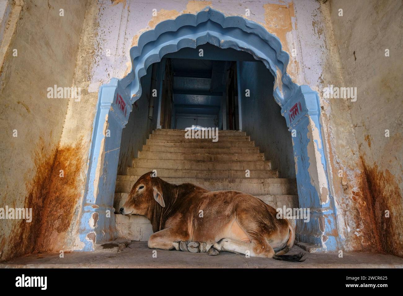 Old cow town hi-res stock photography and images - Alamy