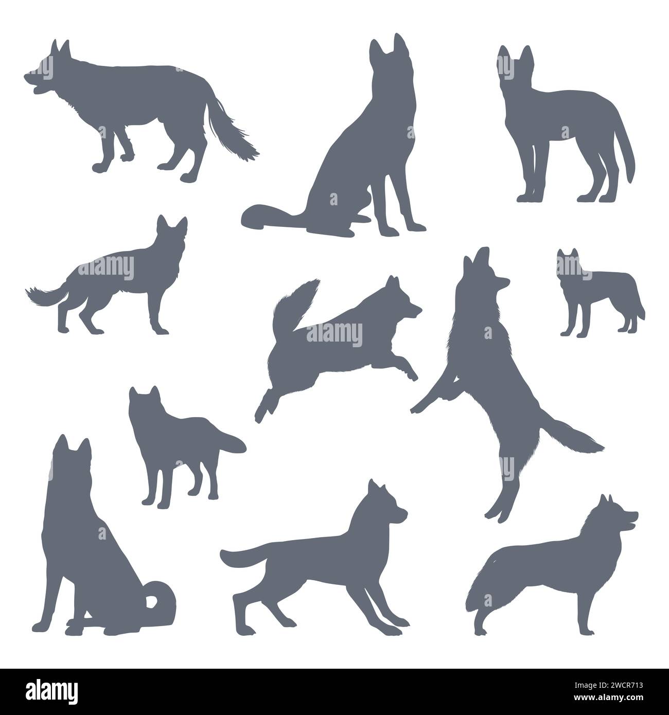 Husky sitting profile Stock Vector Images - Alamy
