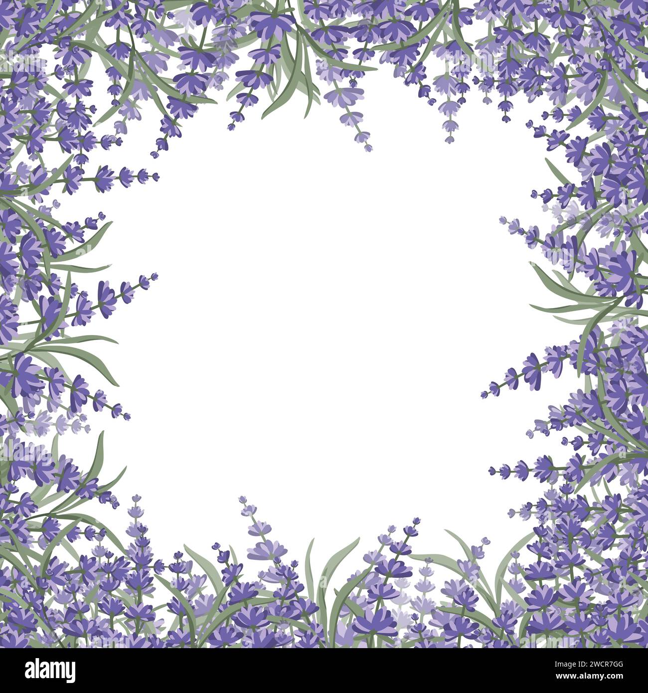 A beautiful purple-lavender border, for the design of postcards ...