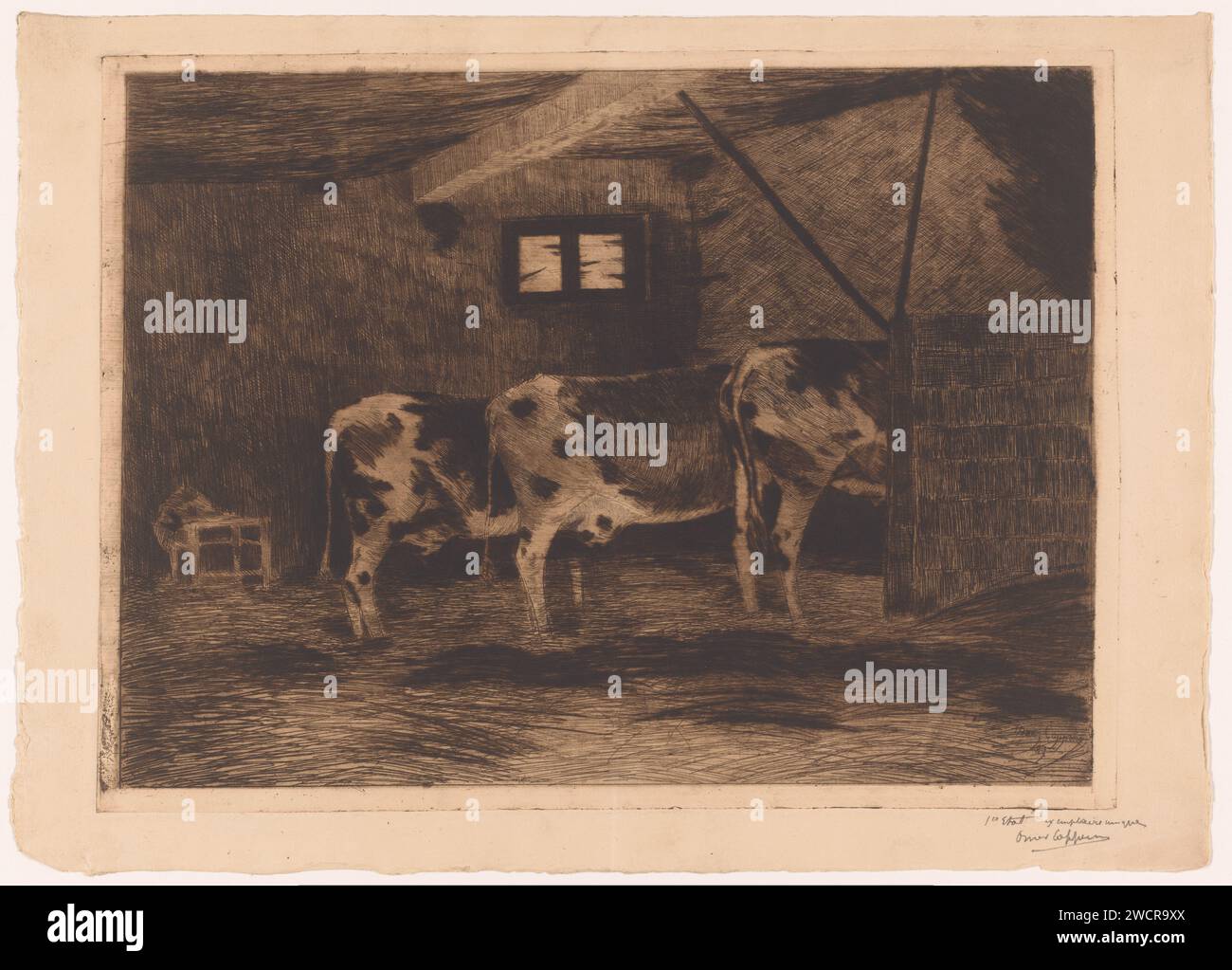 Three cows in a stable, seen from behind, Omer Coppens, 1887 print ...