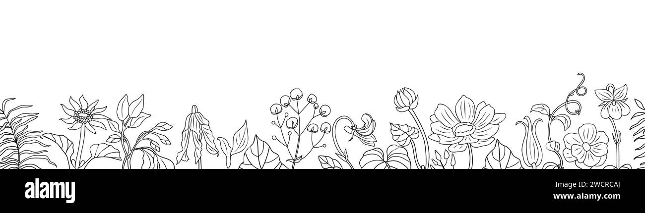 Seamless border with spring flowers line drawing Stock Vector Image ...