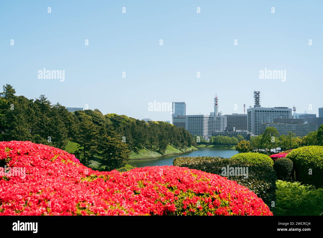 Chidoriga hi-res stock photography and images - Alamy