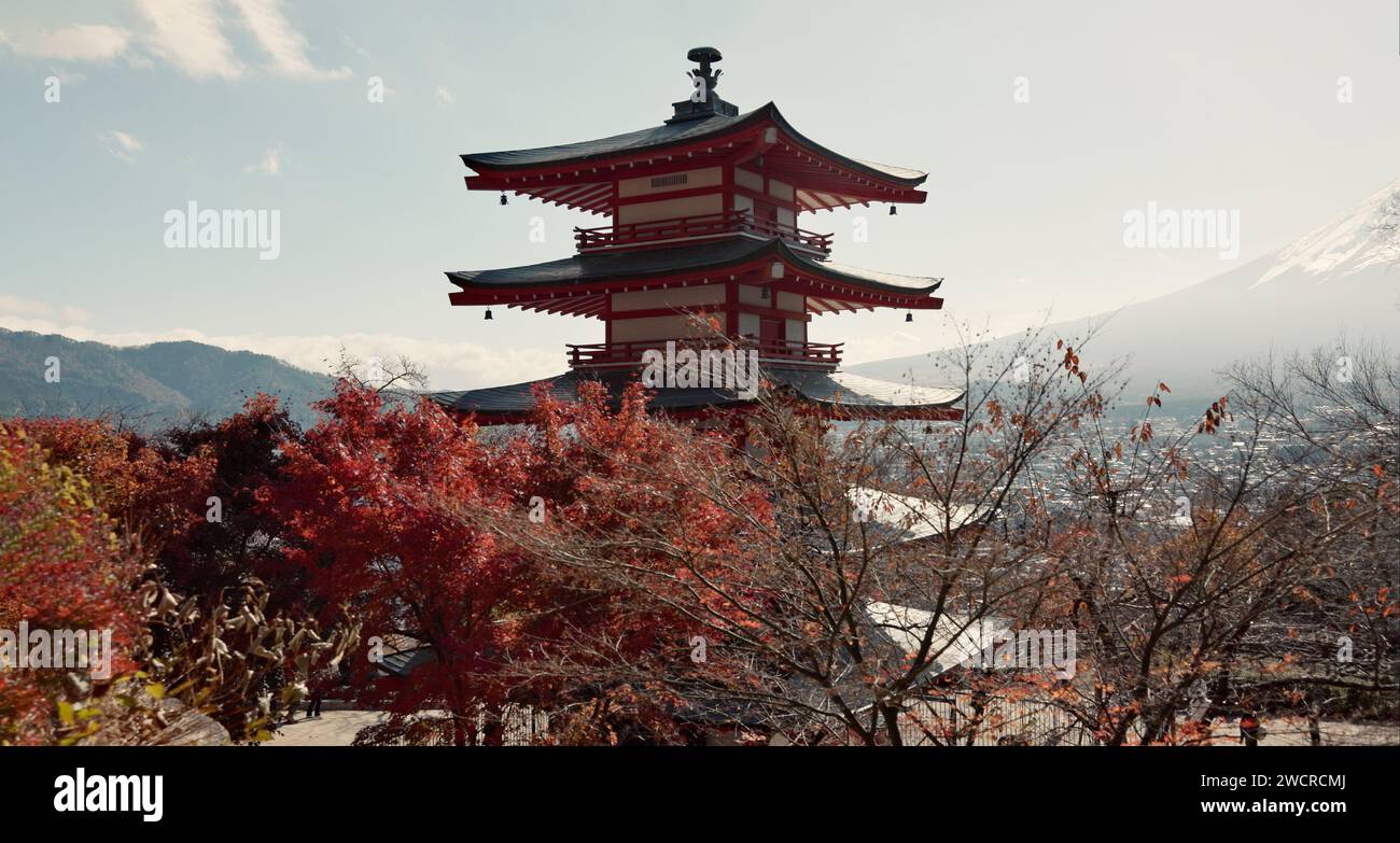 Shinto temple, building and trees in nature for religion, faith and ...