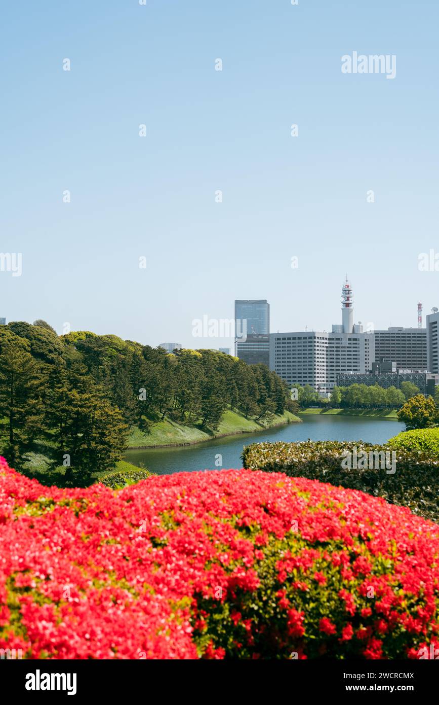 Chidoriga hi-res stock photography and images - Alamy