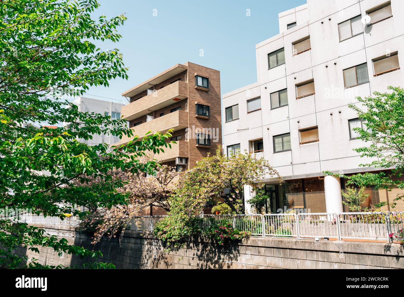 Nakameguro riverside street at spring in Tokyo, Japan Stock Photo - Alamy