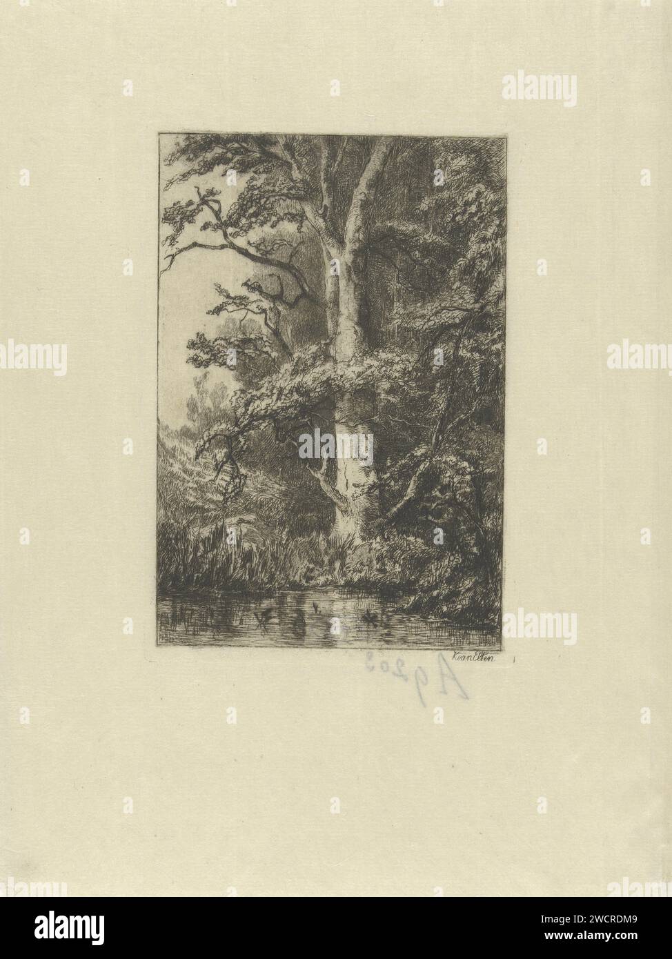 Trees on the water, Hendrik Dirk Kruseman van Elten, c. 1880 print ...