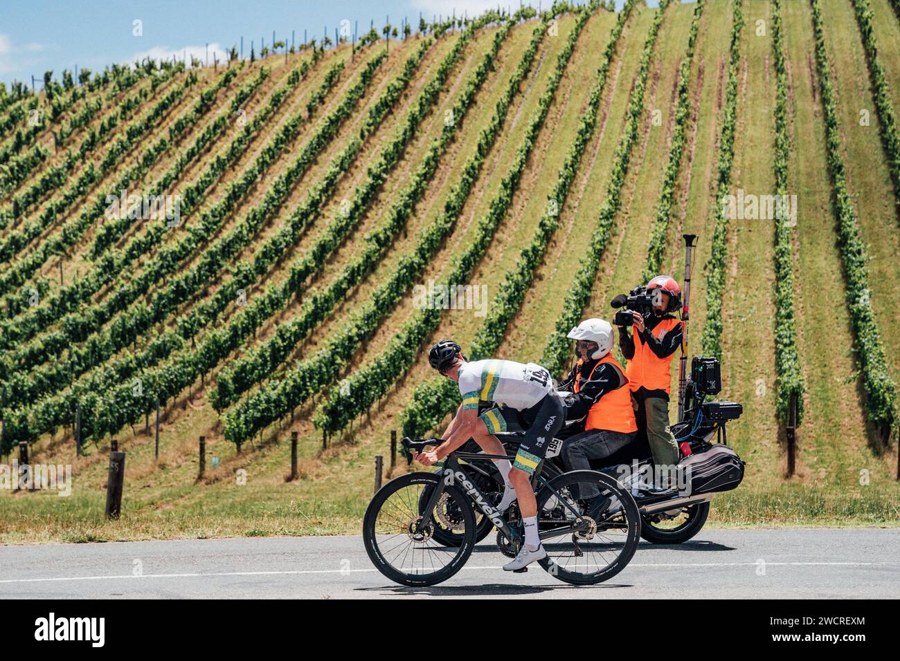 Adelaide, Australia. 17th Jan, 2024. Picture by Zac Williams/SWpix.com ...