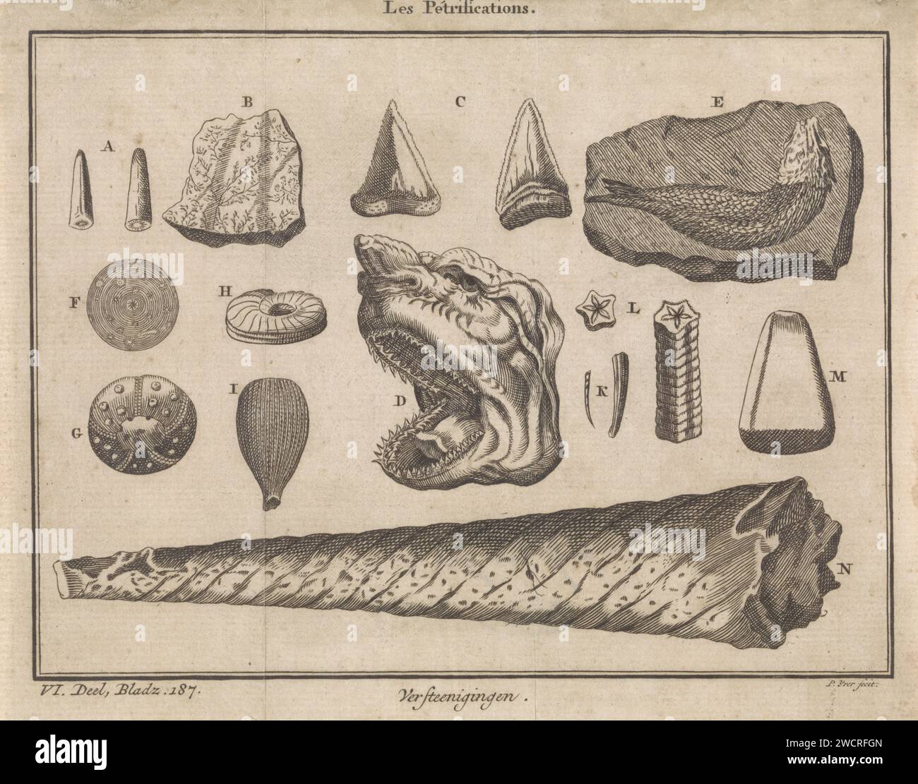 Festations, Pieter Yver, 1722 - 1782 print Different fabrics of plants ...