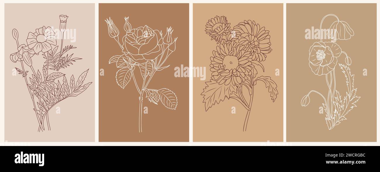 Birth month flowers Line Drawing Print Set Stock Vector Image & Art - Alamy