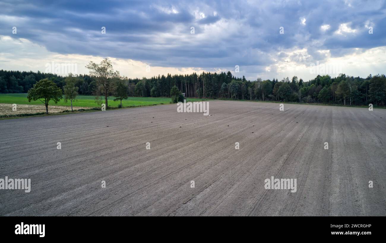 Field backdrop with forest hi-res stock photography and images - Alamy