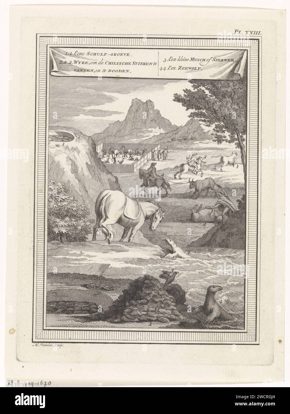 Catch chili bulls, Harmanus Vinkeles, 1755 - 1800 print Landscape in ...