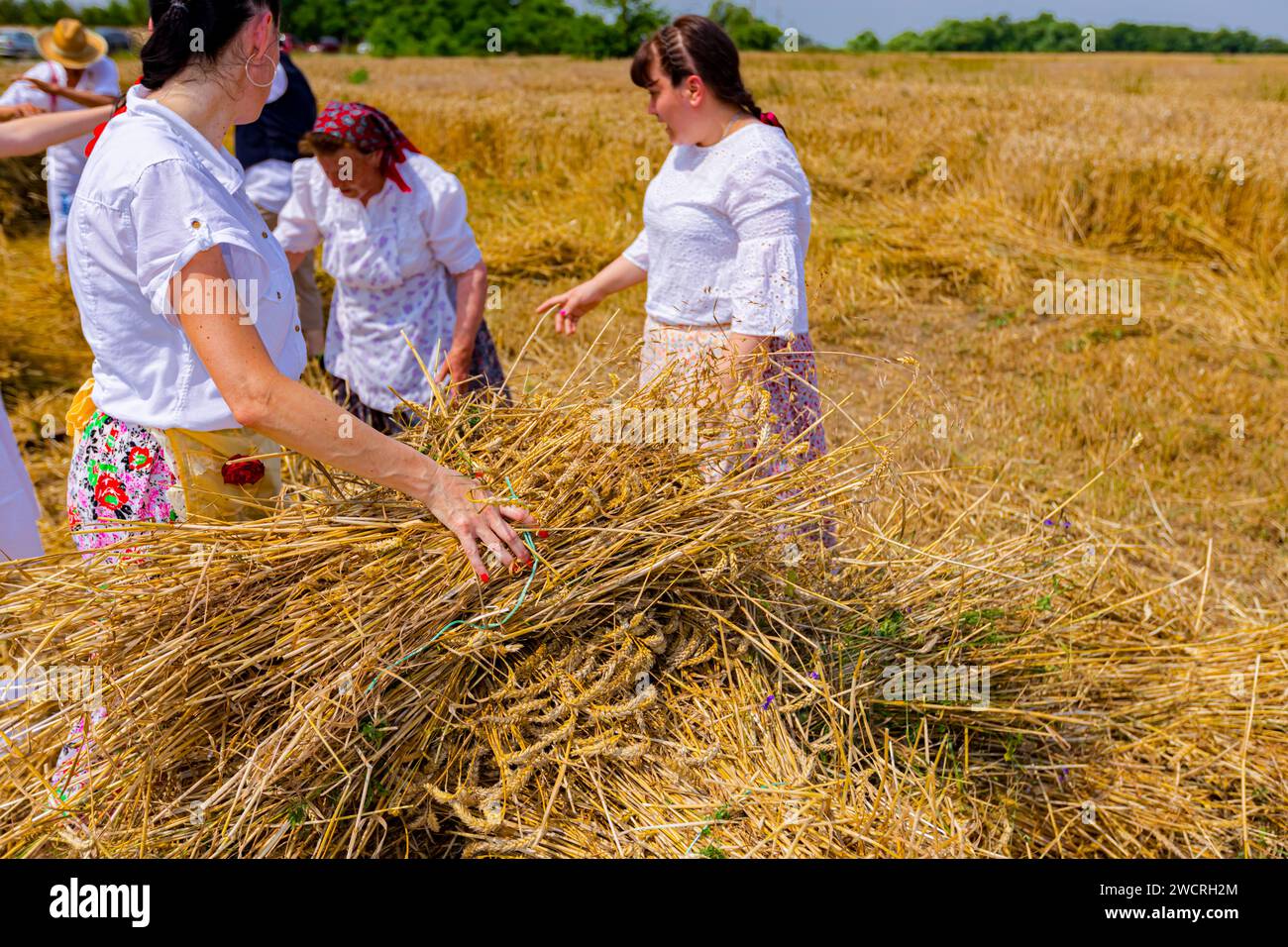 Collecting wheat sheaves hi-res stock photography and images - Alamy