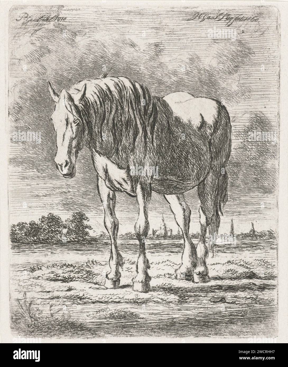 Standing white horse, Jacobus Cornelis Gaal, after Pieter Gaal, 1860 ...
