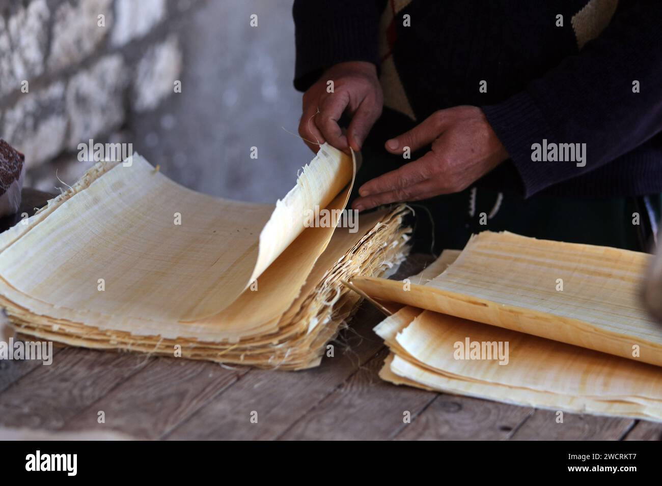 Sharqiya, Egypt. 16th Jan, 2024. Villager Sayed arranges papyrus papers ...