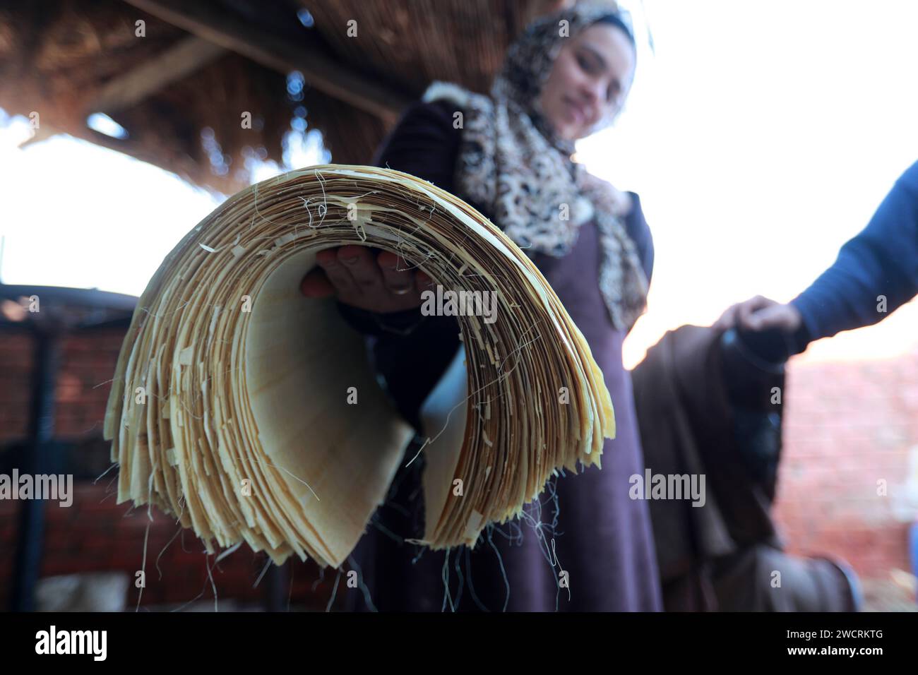 Sharqiya, Egypt. 16th Jan, 2024. A woman displays a pile of papyrus ...