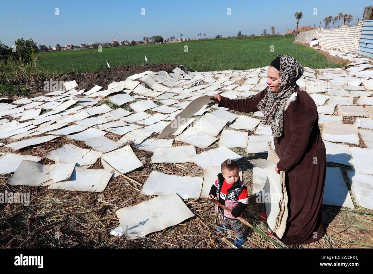 Sharqiya, Egypt. 16th Jan, 2024. A woman dries paperboards used in ...