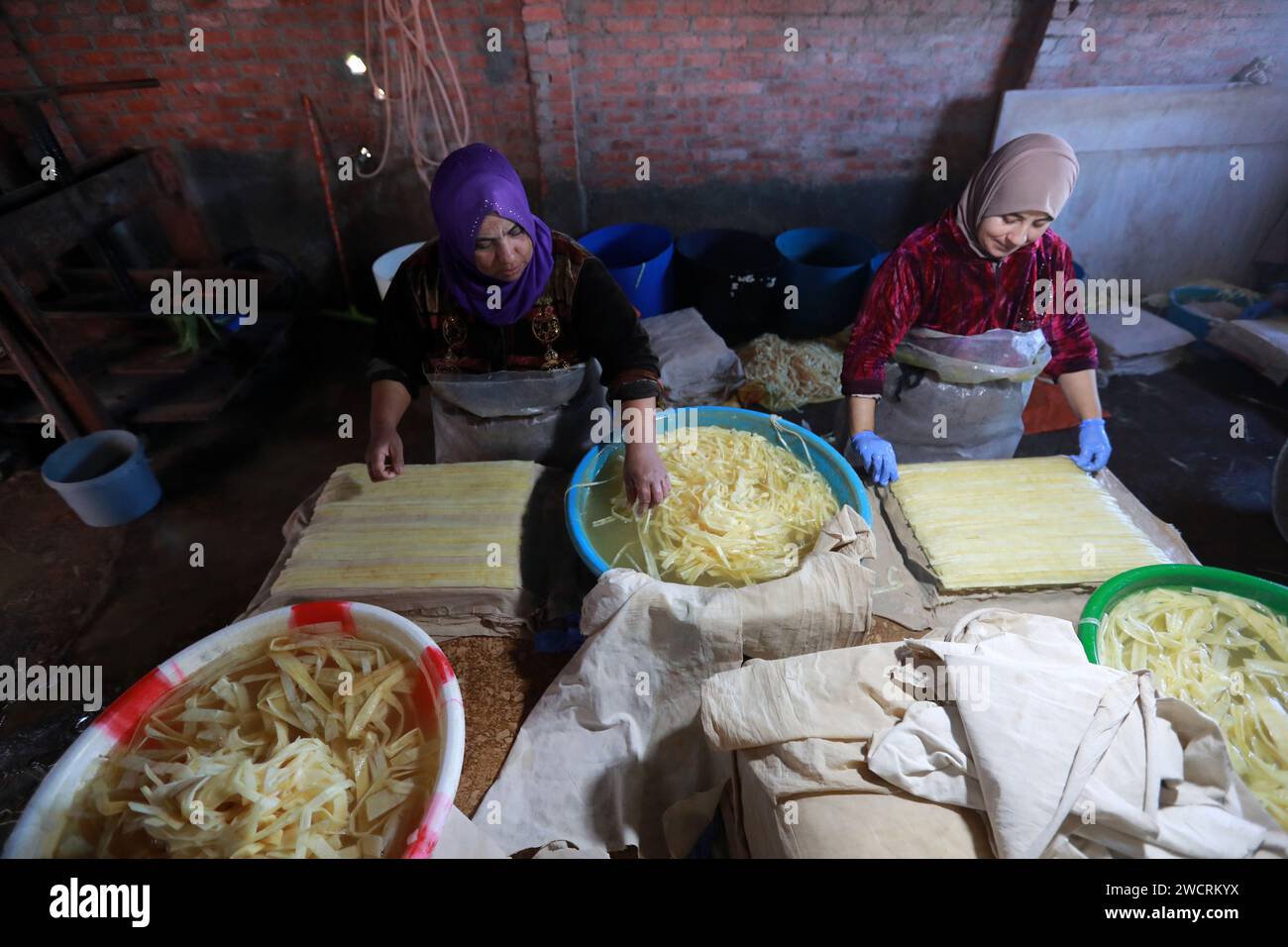 Sharqiya, Egypt. 16th Jan, 2024. Women make papyrus paper at villager ...