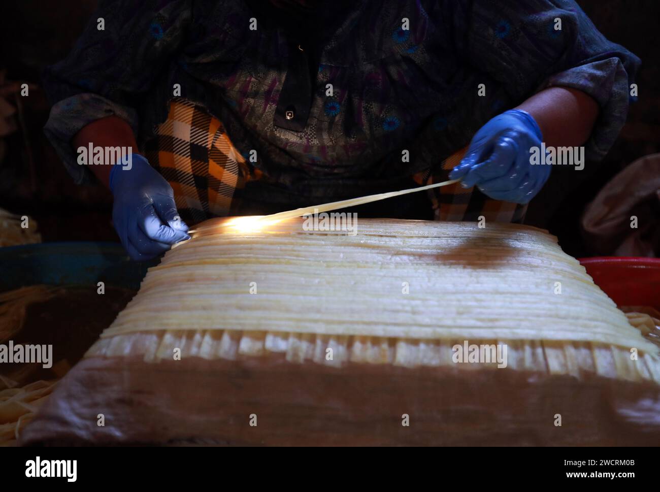 Sharqiya, Egypt. 16th Jan, 2024. A woman makes papyrus paper at villager Sayed's papyrus ...